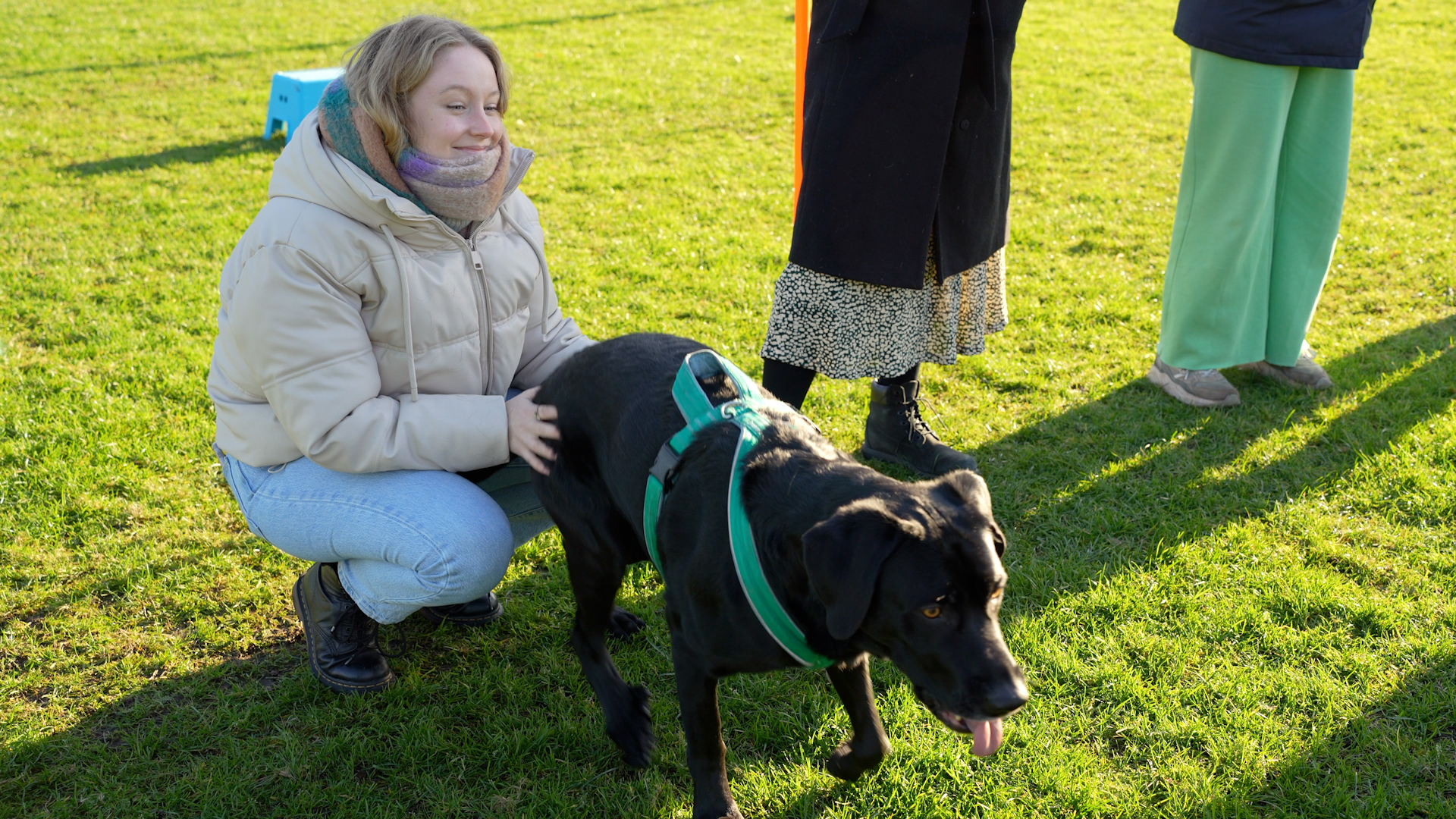 Studenten leren van honden - Trajectum